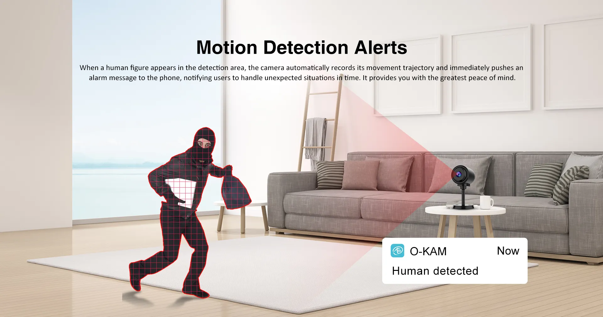 Wholesale indoor security cameras